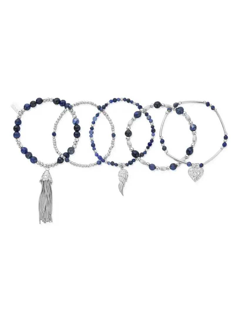 ChloBo Mindful Sodalite Stack Of 5 Bracelets - Silver