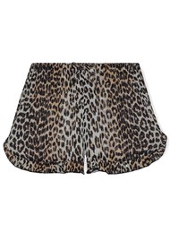 Women's Shorts - The Dressing Room